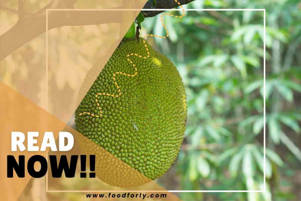 Buffalo Wild Wings Salt And Vinegar Seasoning Recipe