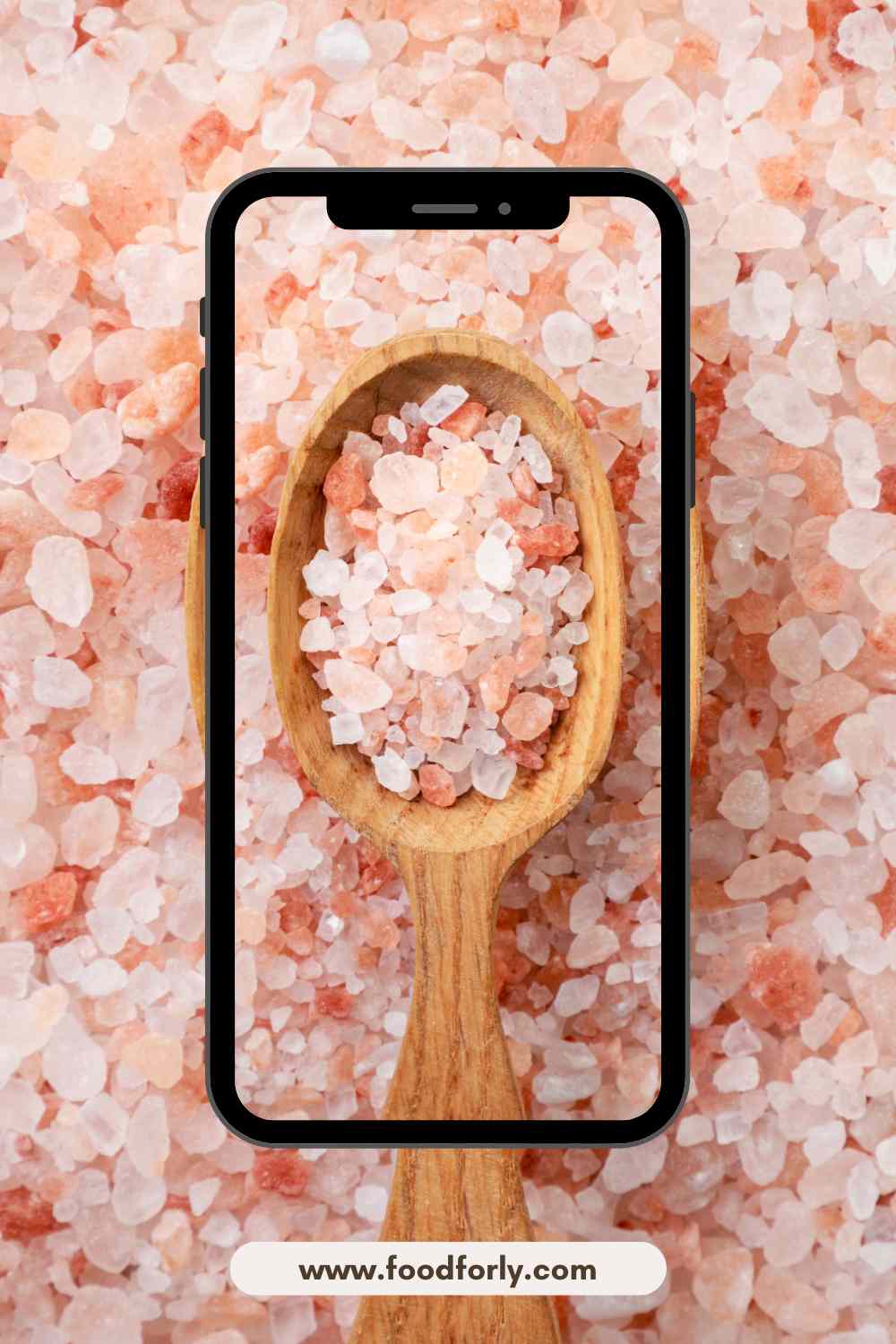 Accent Salt Substitute Ingredients